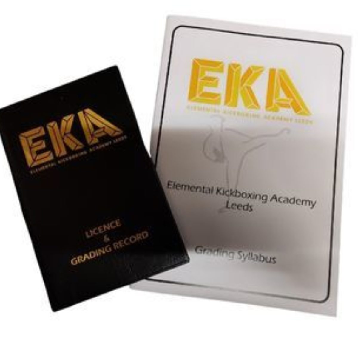 Elemental Kickboxing Academy